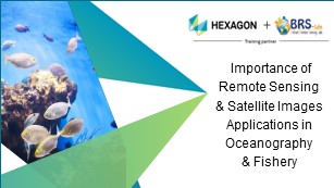 Remote Sensing Applications Workshops Research Papers Case Studie